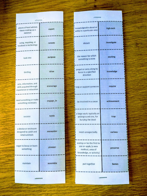 Language Dominoes generator – EFL Summer School